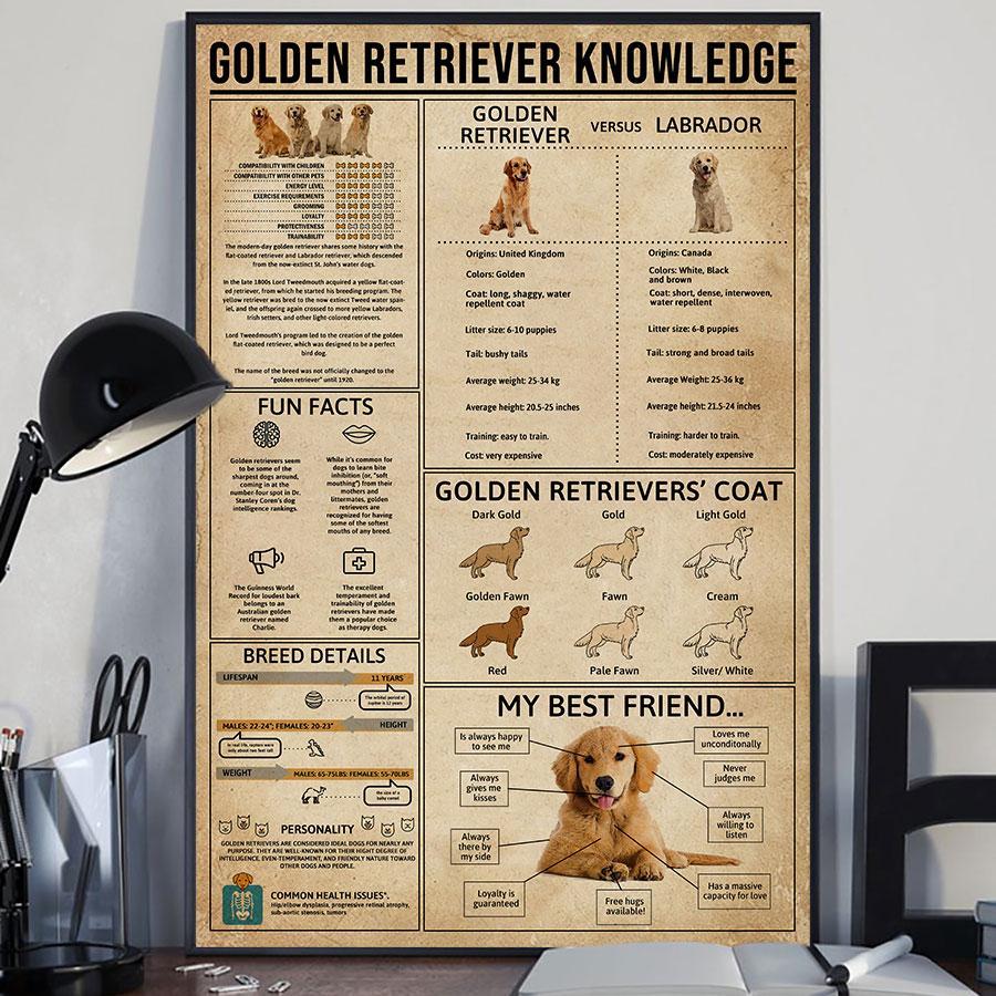 Golden Retriever Knowledge - Poster - Themarketfarmer