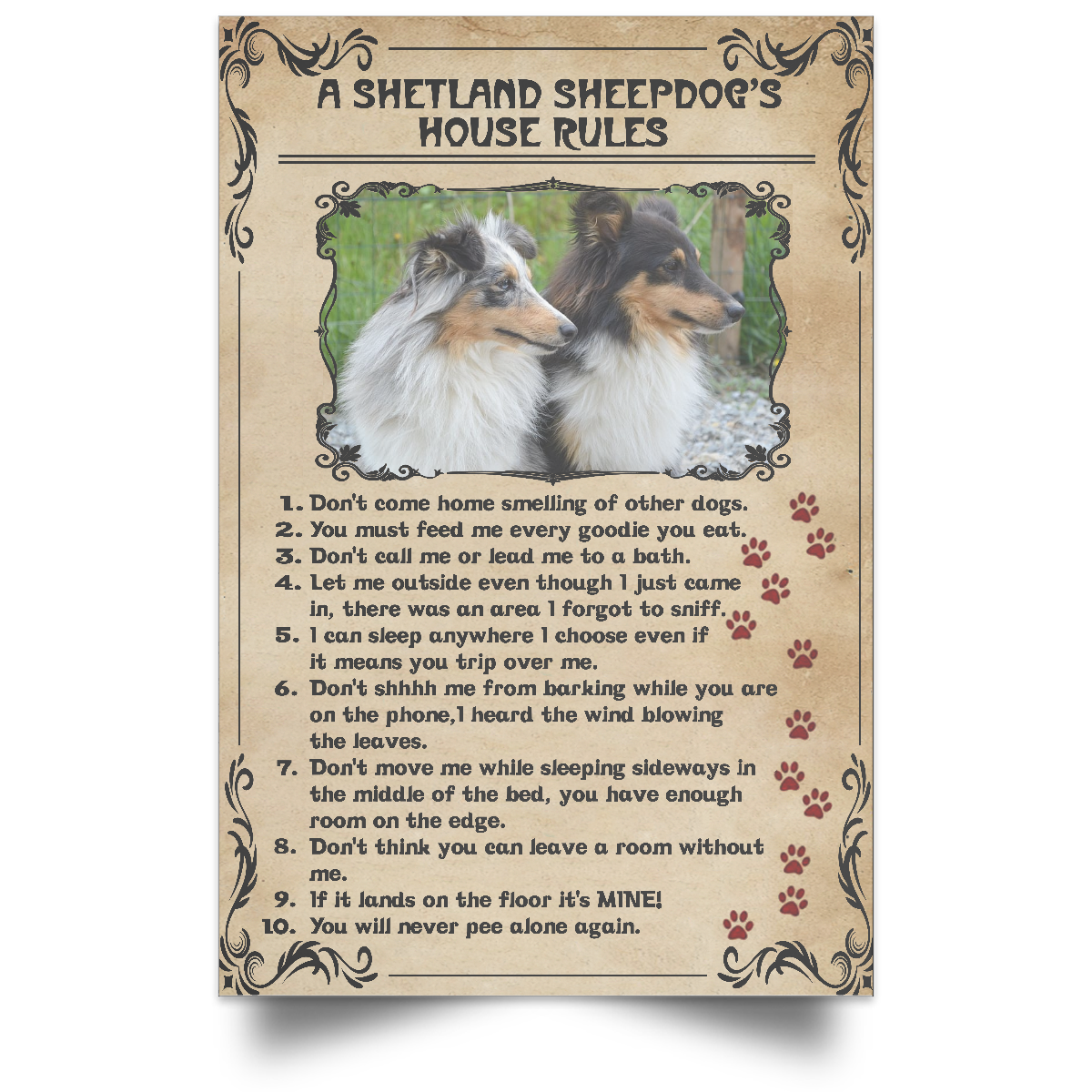 Personalized - A Shetland Sheepdog’s House Rules Vintage Custom Image ...